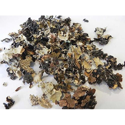 DAGAD PHOOL ADANI - 50 GMS / 1.75 OZ